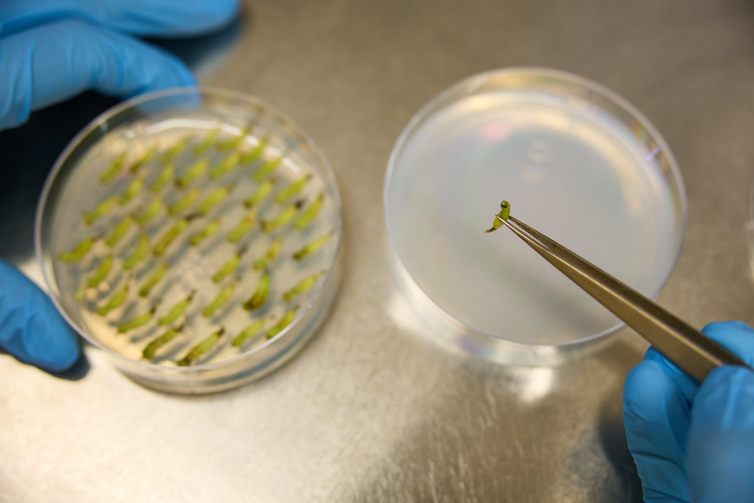 Promising Biotech Startup Reaping Benefits from Helix Center | STLP